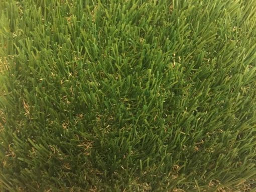 Austin Fescue Mid 85 | Arizona Turf Depot