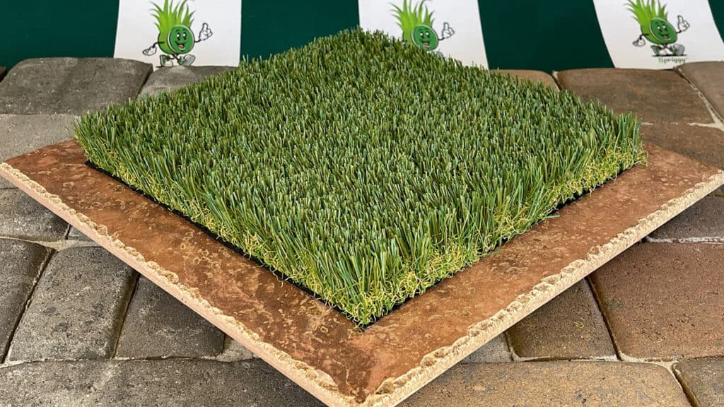 Bermuda Mid 85 | Arizona Turf Depot